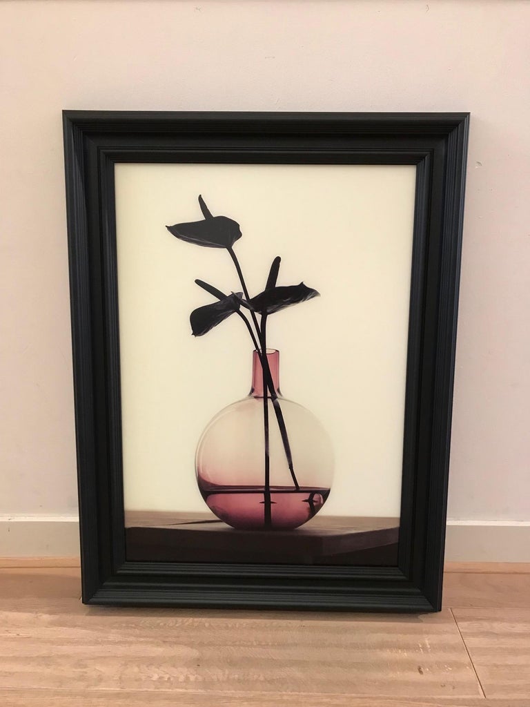 Ursula van de Bunte - ''Chocolate Flower'' Dutch Contemporary Still ...