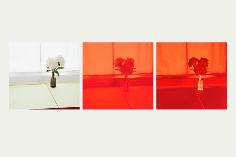 Uta Barth - Untitled (2005.A) For Sale at 1stDibs