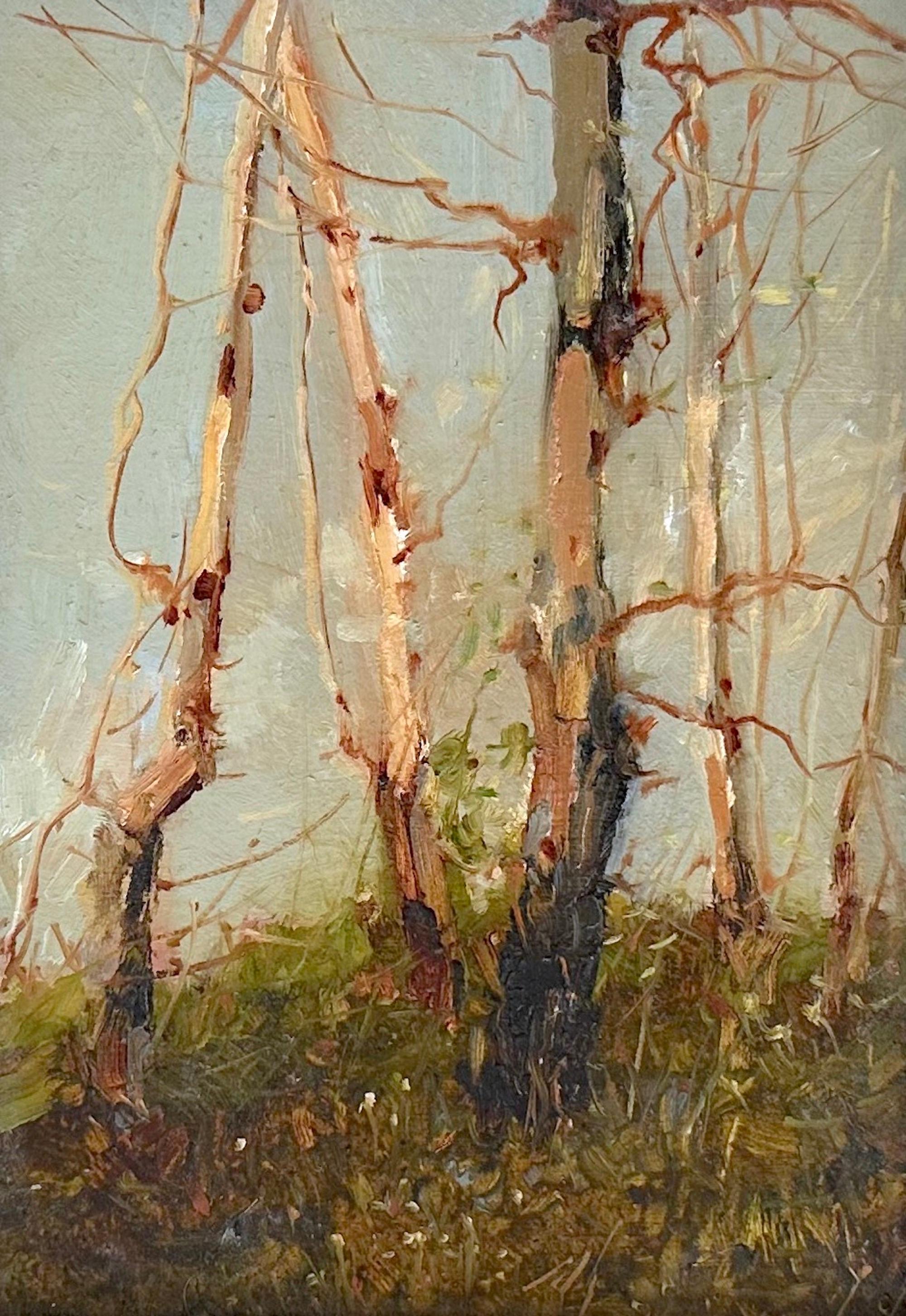 Vahe Yeremyan - Autumn Grove, Original Oil Painting, Framed at 1stDibs ...