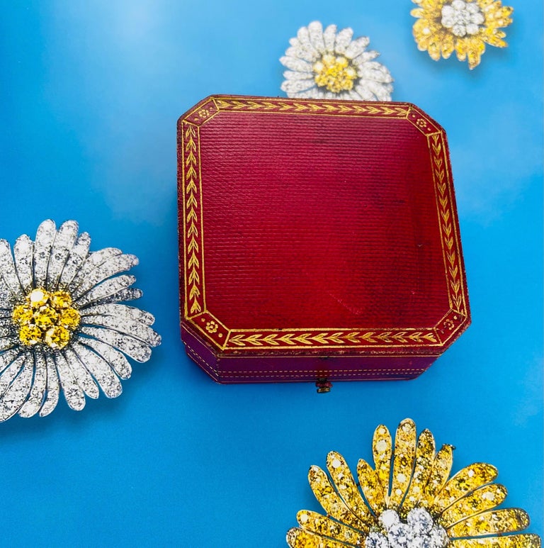 Van Cleef and Arpels Paris, Jewellery Antique Display Box For Sale at ...