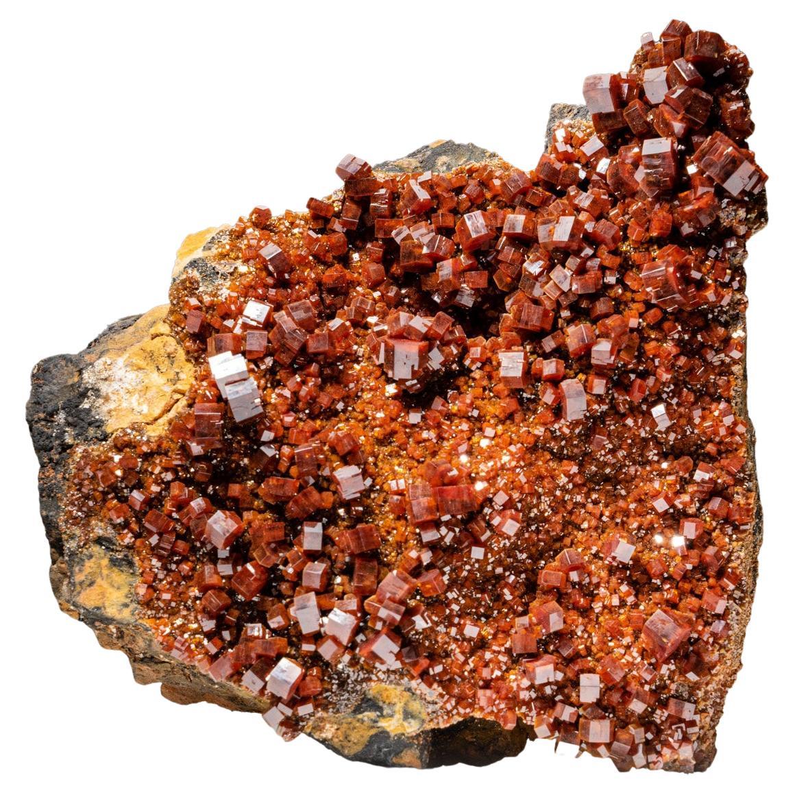 Natural Vanadinite Crystal Cluster on Matrix from Mibladen, Khénifra ...