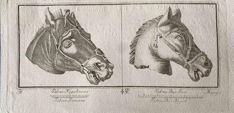 Unknown - Animal Figures from Ancient Rome - Original Etching by ...