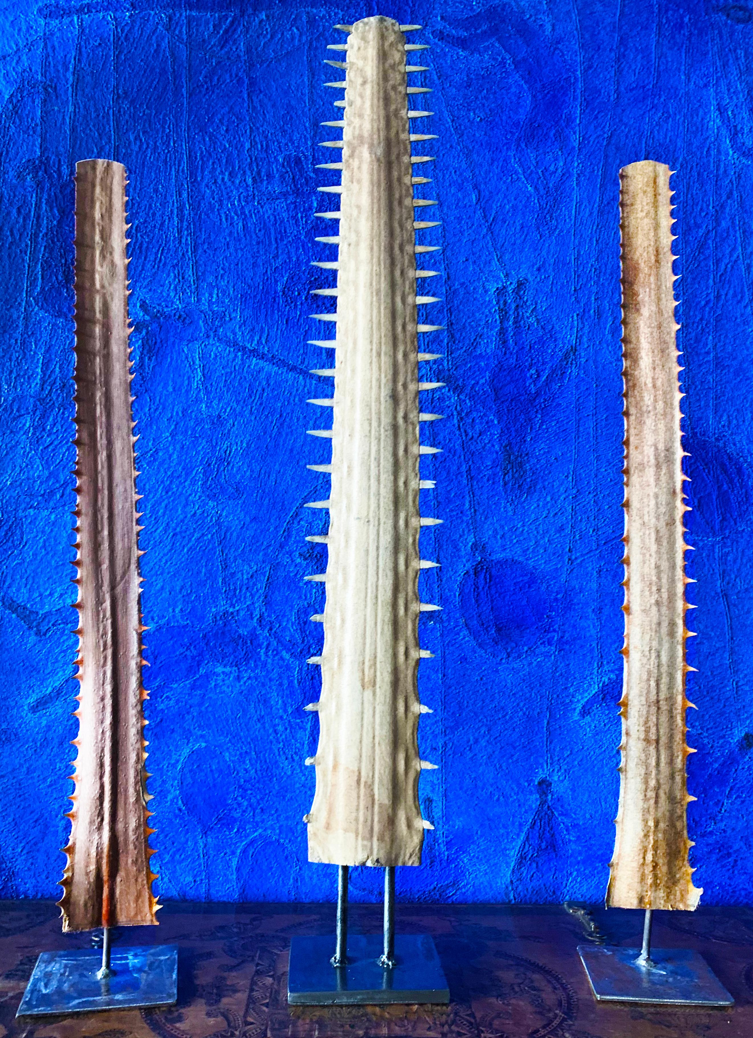 Vegetal Saw Fish For Sale at 1stDibs | sawbill shark