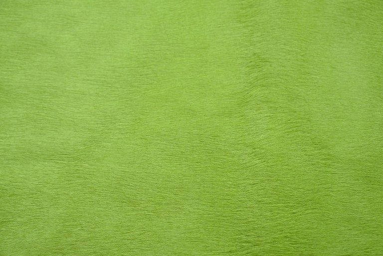 Apple Green Genuine Large European Cowhide Hair Rug at 1stDibs
