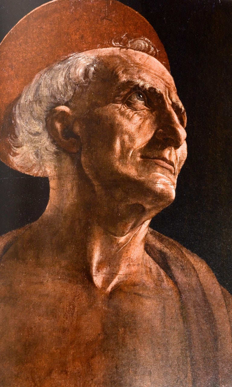 Verrocchio Sculptor and Painter of Renaissance Florence 1st Ed ...