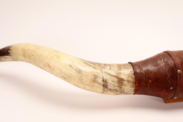 Very Big cattle’s horns, Stanta Fè, NM, 1900. For Sale at 1stDibs
