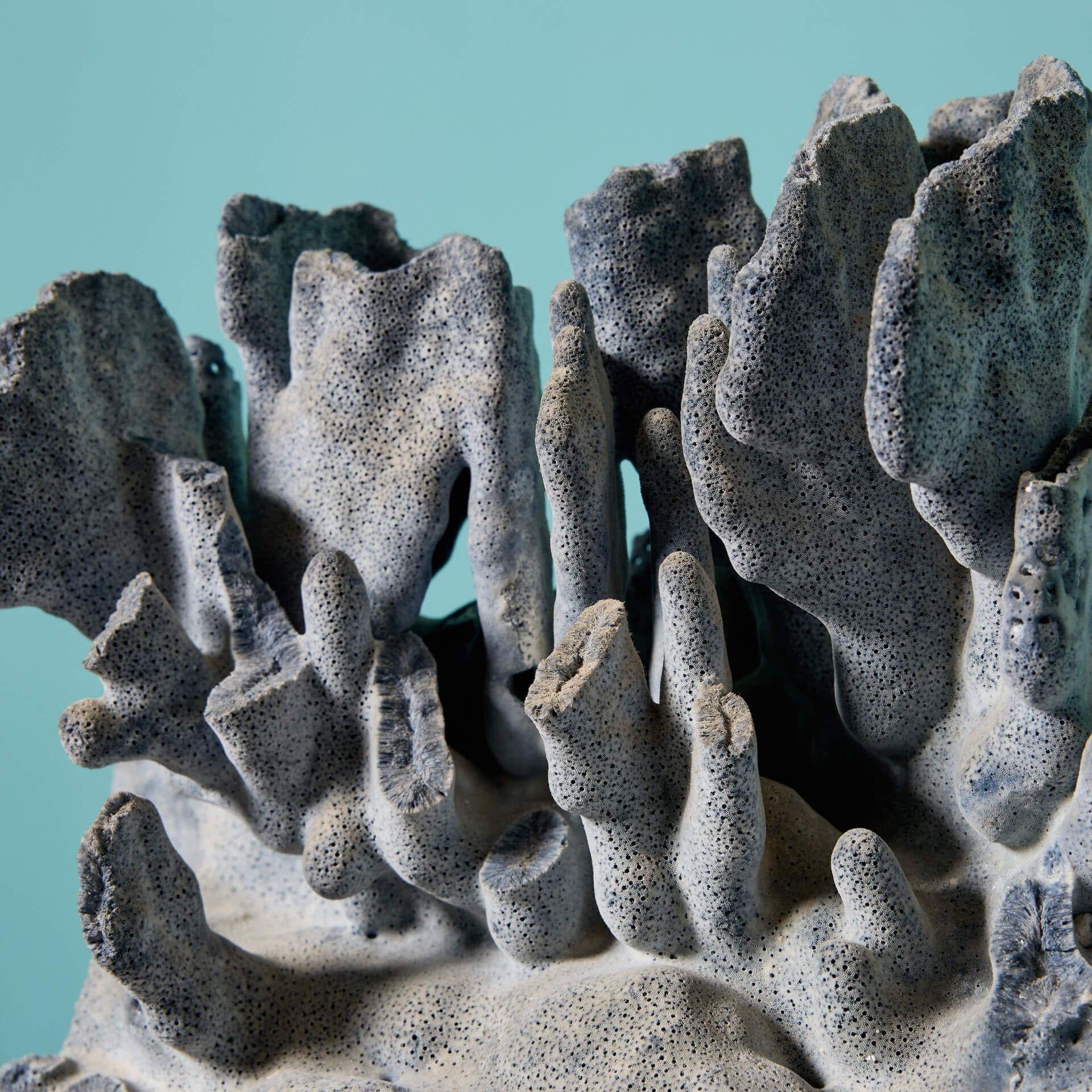 Very Large Natural Blue Heliopora Coral Specimen For Sale at 1stDibs