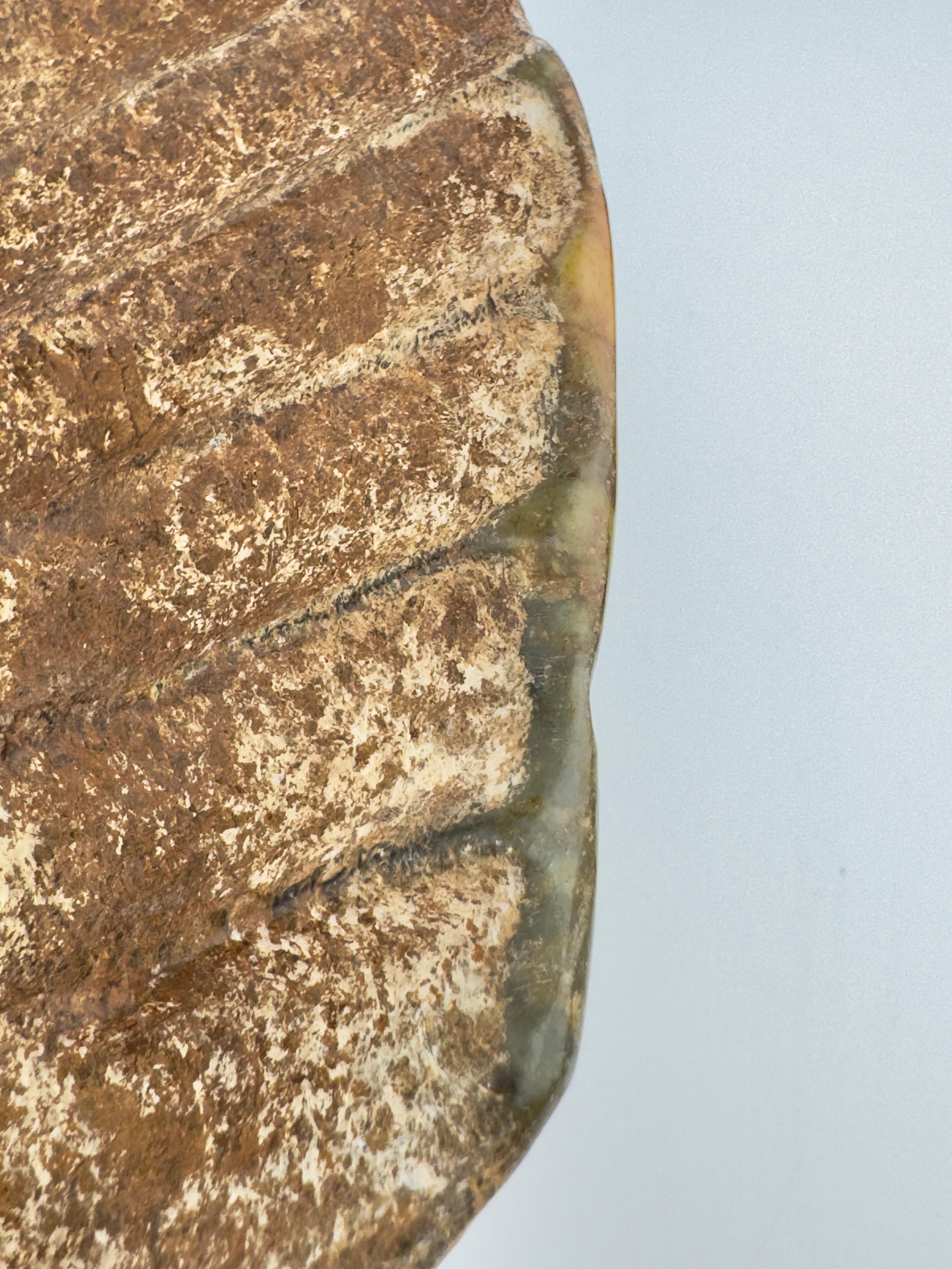 Very Rare Calcified Jade 'Tortoise Shell' presumably Neolithic Period ...