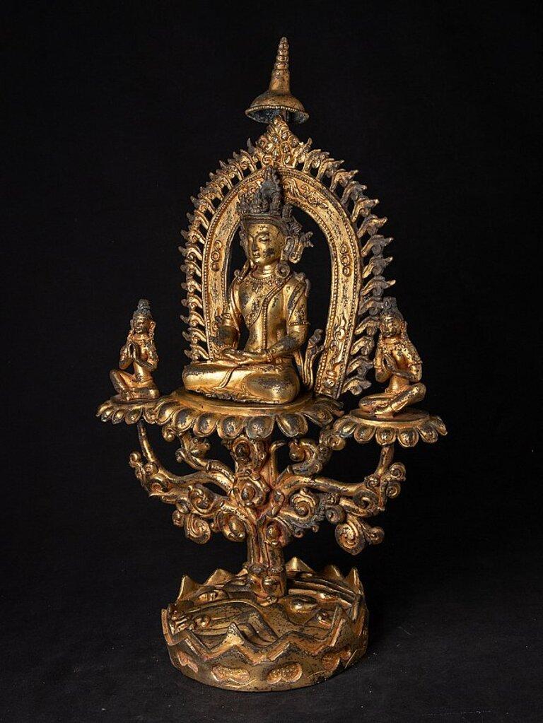 Very Special Antique Nepali Buddha Statue from Nepal For Sale at 1stDibs