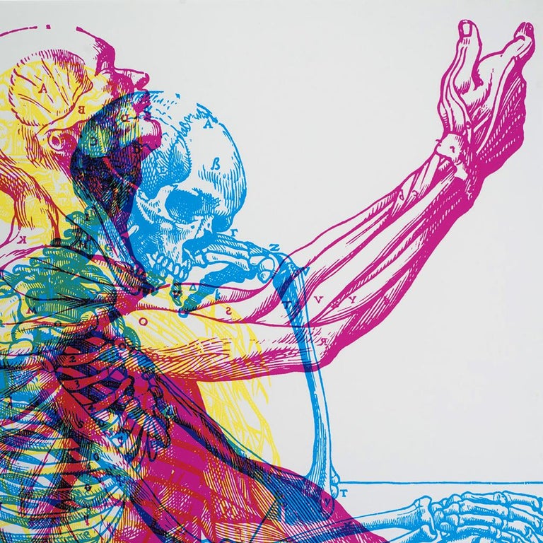 Vesalio Room Divider Screen 3 Panel RGB Lights Interactive Designed by ...