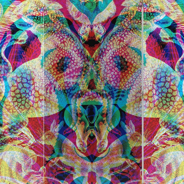 Vesalio Room Divider Screen 3 Panel RGB Lights Interactive Designed by ...