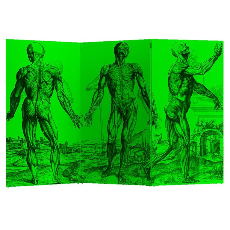 Vesalio Room Divider Screen 3 Panel RGB Lights Interactive Designed by ...