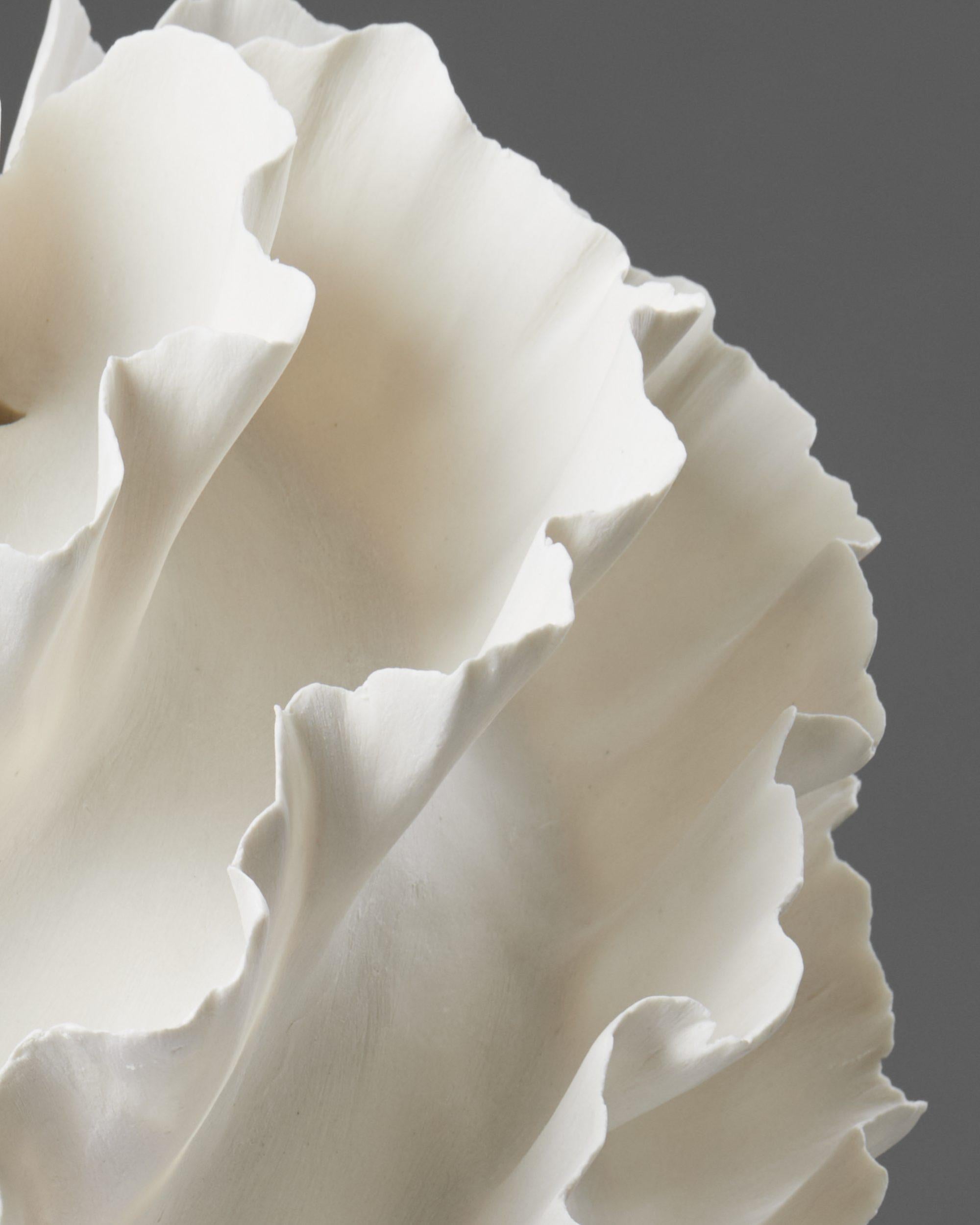 Vessel by Sandra Davolio, Denmark, 2023 For Sale at 1stDibs
