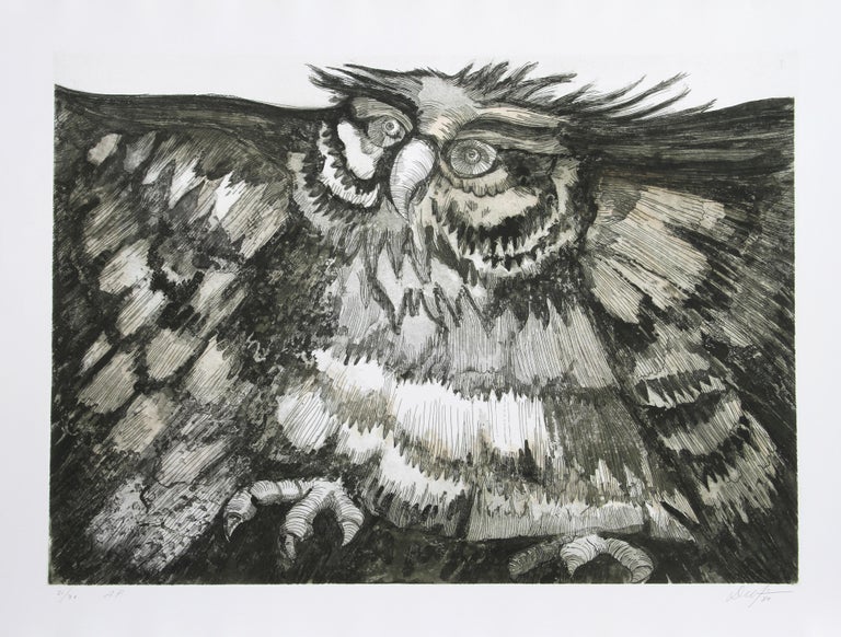 Victor Delfin - Old Owl, Etching by Victor Delfin For Sale at 1stdibs