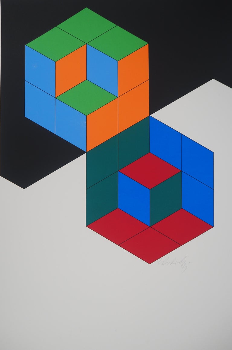 Victor Vasarely - Kinetic Composition Bi-Hexa - Original Screen Print, Handsigned For Sale at ...