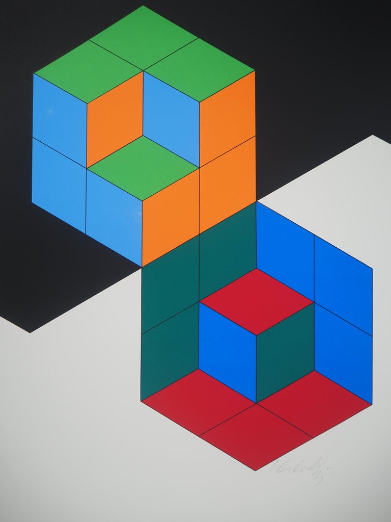 Victor Vasarely - Kinetic Composition Bi-Hexa - Original Screen Print ...