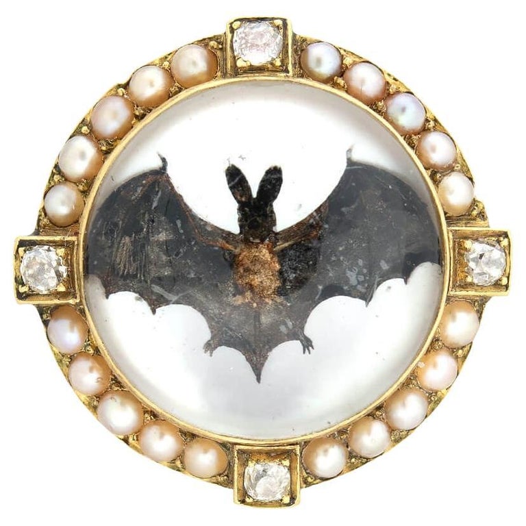 Victorian 14kt Reverse Carved Essex Crystal Bat Pin For Sale at 1stDibs