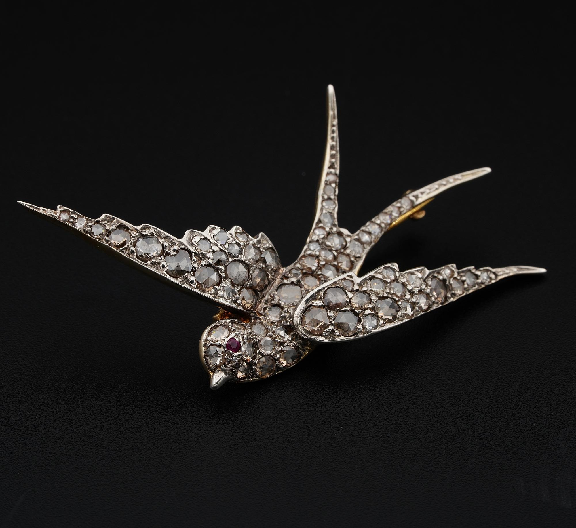 Victorian 2.10 Ct Rose cut Diamond Rare Swallow Brooch For Sale at 1stDibs