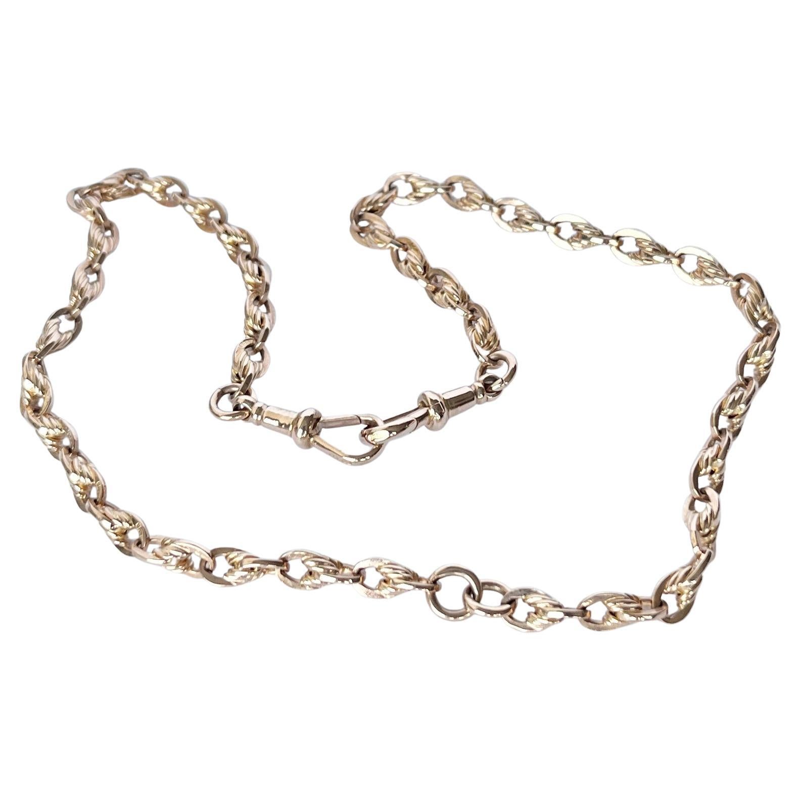 Victorian Silver Albert Chain or Necklace For Sale at 1stDibs