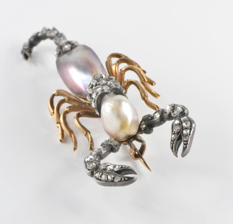 Victorian Abalone Natural Pearl Diamond Rare Scorpion Brooch For Sale ...