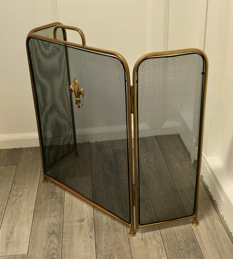 Victorian Arts and Crafts Brass Fire Guard, Spark Screen For Sale at ...