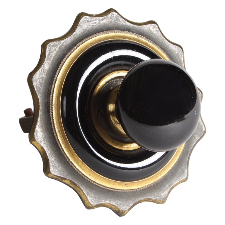 Victorian Black Porcelain and Brass Door Bell Pull For Sale at 1stDibs