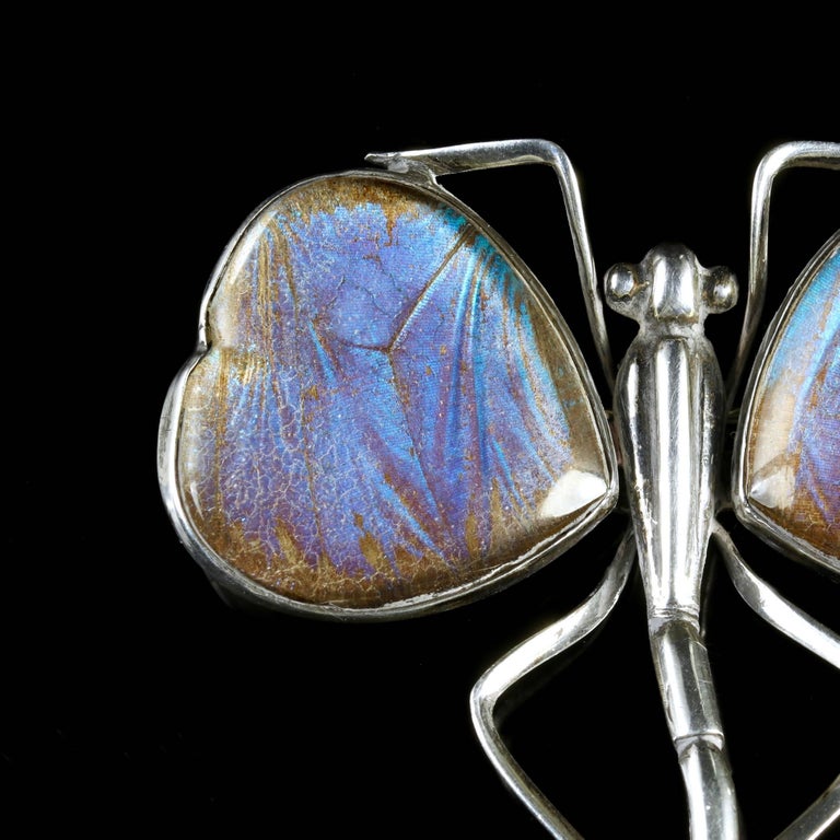 Victorian Butterfly Wing Silver Brooch, circa 1900 at 1stDibs ...