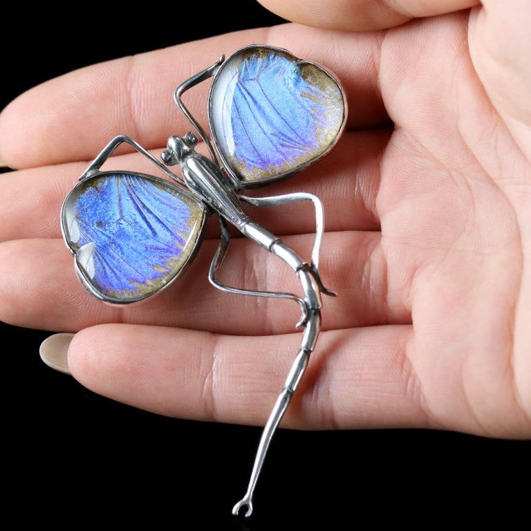 Victorian Butterfly Wing Silver Brooch, circa 1900 at 1stDibs ...