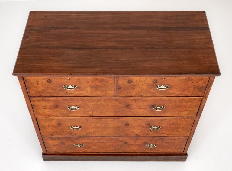 Victorian Chest Drawers Antique Walnut Commode, 1890 For Sale at 1stDibs
