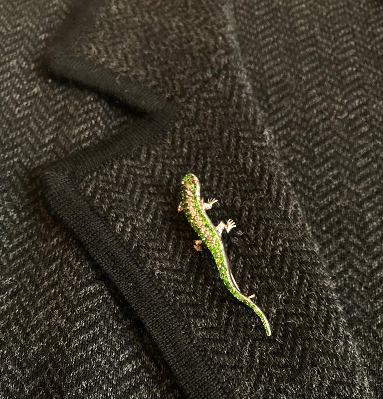 Diamond Demantoid Garnet and Ruby Salamander Brooch Pin For Sale at 1stDibs