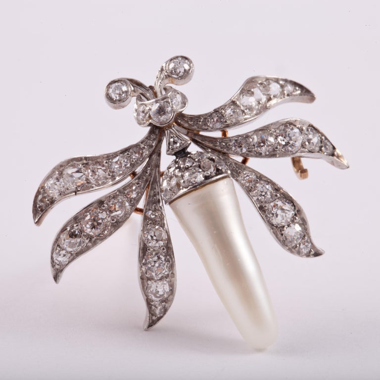 Late Victorian Diamond Pearl Bug Pin For Sale at 1stDibs