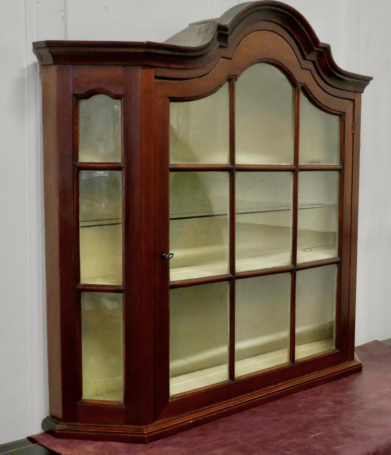 Victorian Arch Top Astral Glazed Display Cabinet For Sale at 1stDibs ...