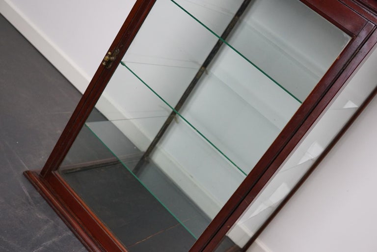Victorian Mahogany Museum / Shop Display Cabinet or Vitrine, Late 19th ...