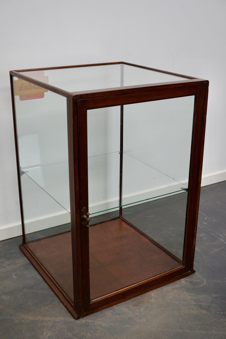 Victorian Mahogany Museum / Shop Display Cabinet or Vitrine, Late 19th ...