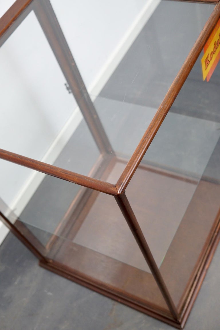 Victorian Mahogany Museum / Shop Display Cabinet or Vitrine, Late 19th ...