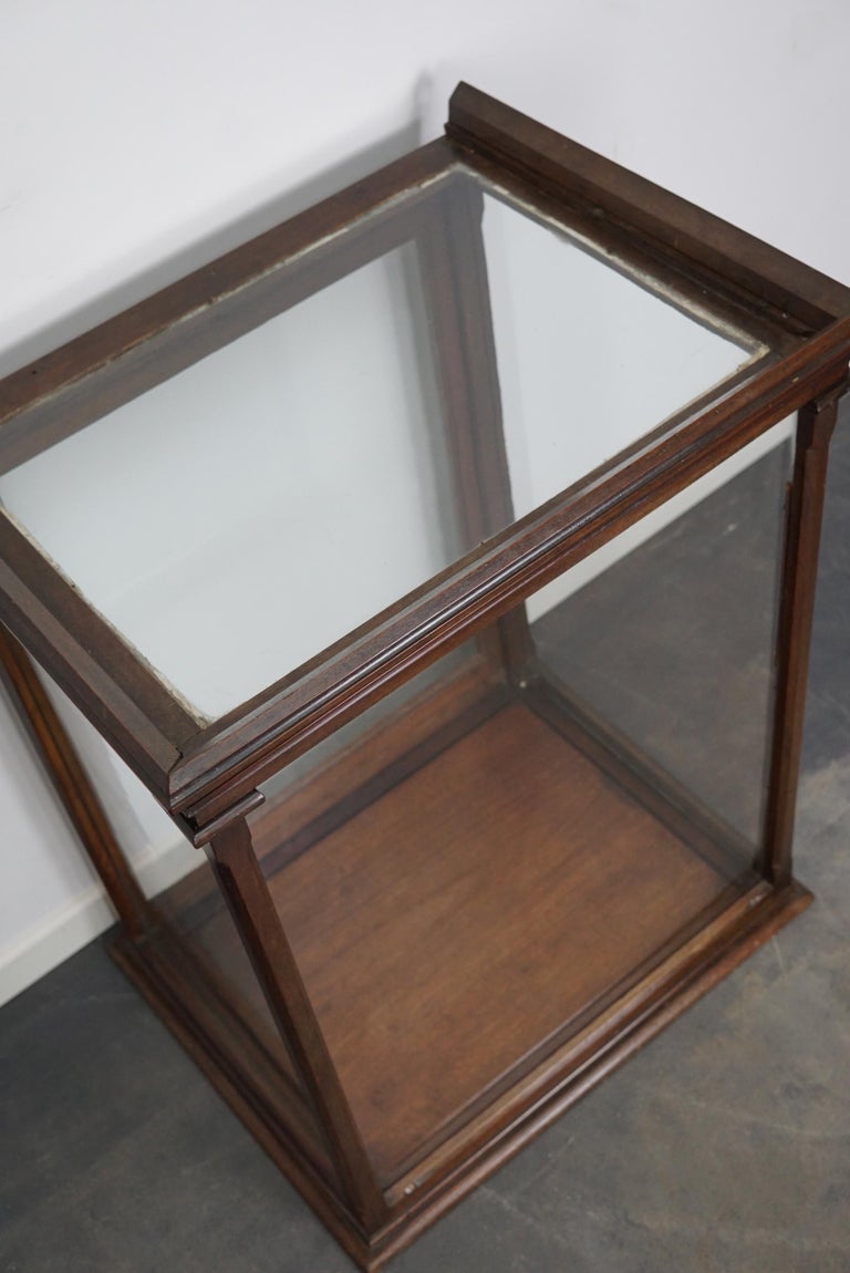 Victorian Mahogany Museum / Shop Display Cabinet or Vitrine, Late 19th ...