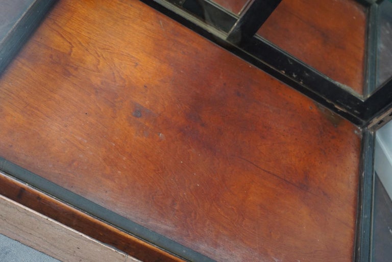 Victorian Mahogany Shop Display Cabinet / Counter or Vitrine, Late 19th ...