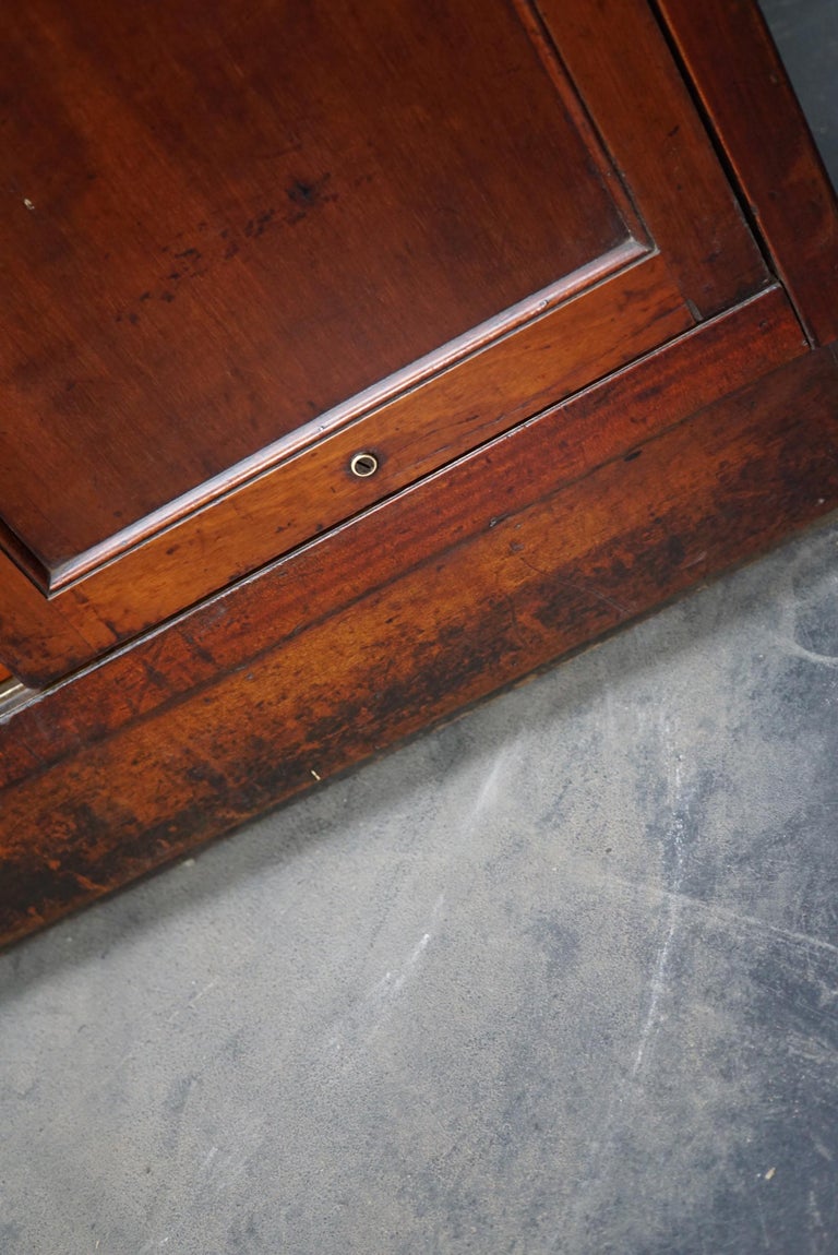 Victorian Mahogany Shop Display Cabinet / Counter or Vitrine, Late 19th ...