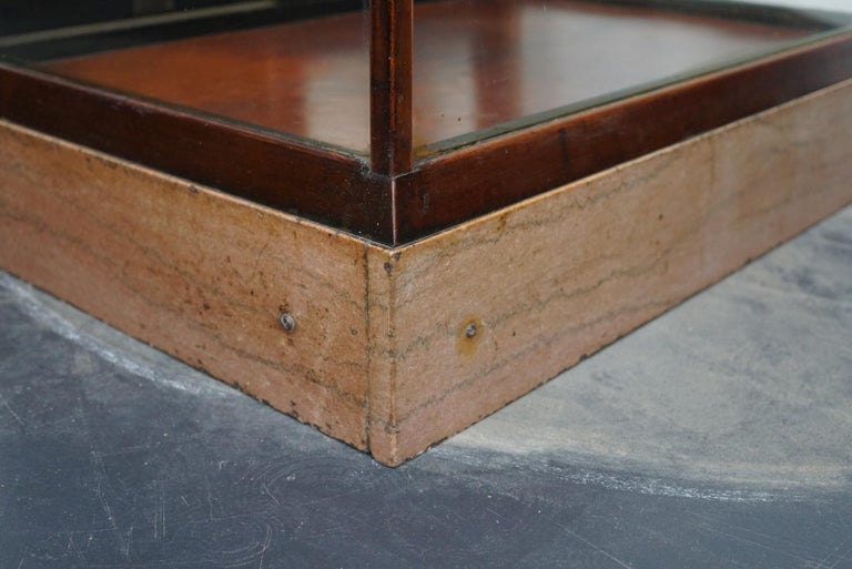 Victorian Mahogany Shop Display Cabinet / Counter or Vitrine, Late 19th ...
