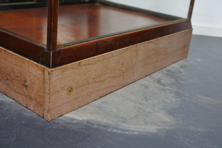 Victorian Mahogany Shop Display Cabinet / Counter or Vitrine, Late 19th ...