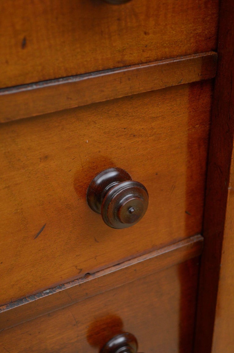 Victorian Mahogany Wellington Chest For Sale at 1stDibs