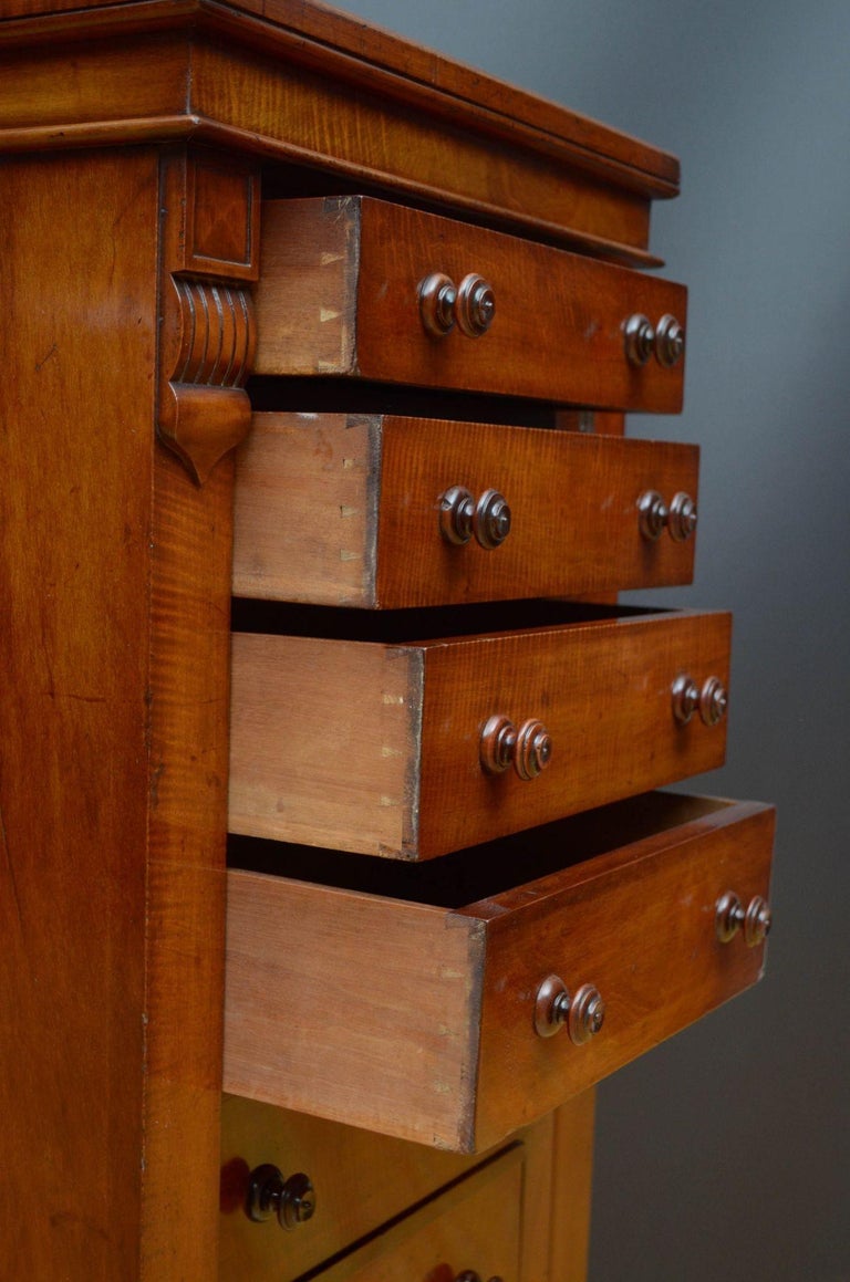 Victorian Mahogany Wellington Chest For Sale at 1stDibs