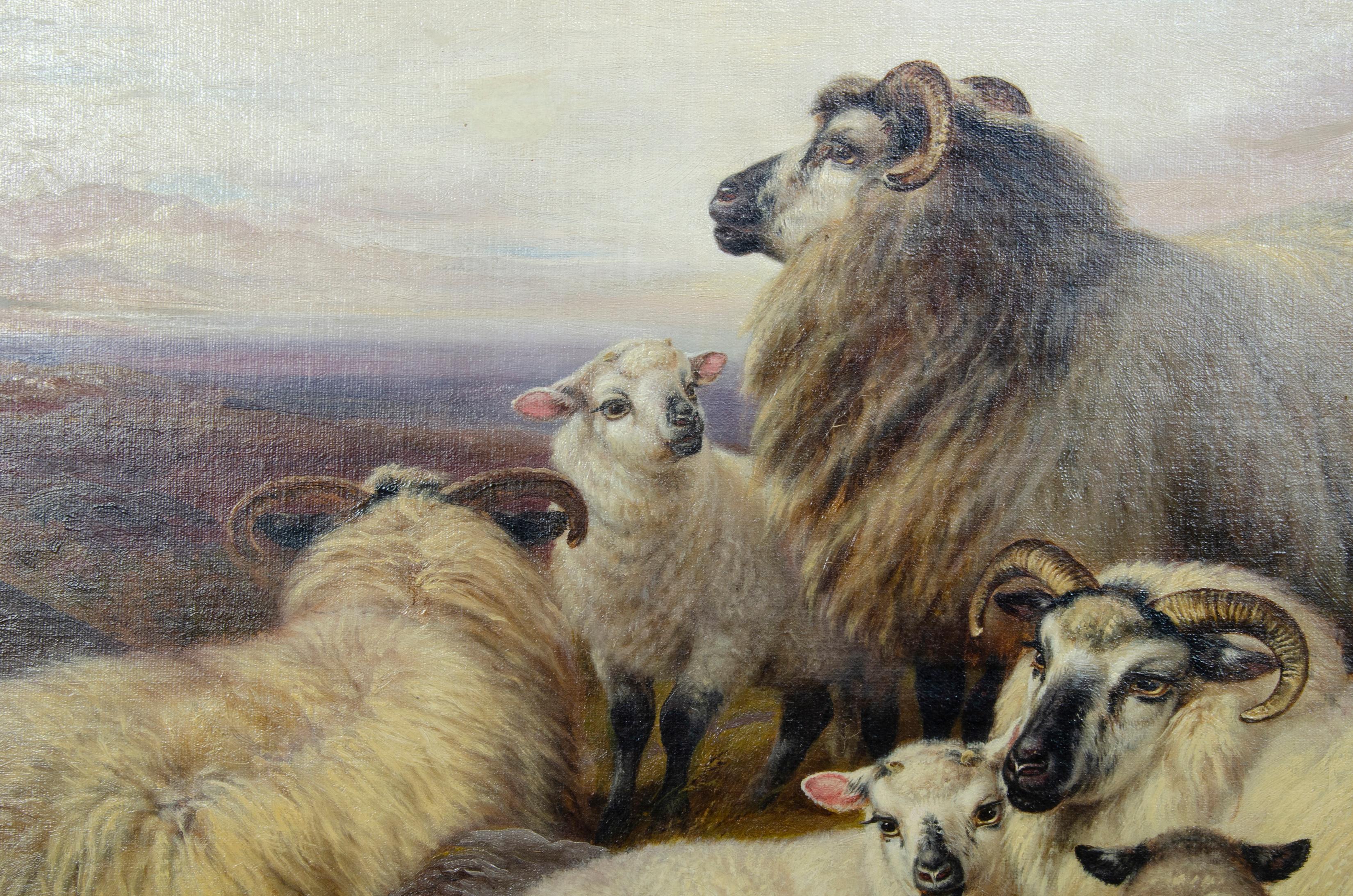 Victorian Oil on Canvas of Sheep by William Watson at 1stDibs