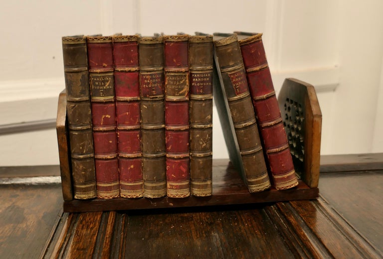 Victorian Pierced Folding Extending Bookend Slide For Sale at 1stDibs