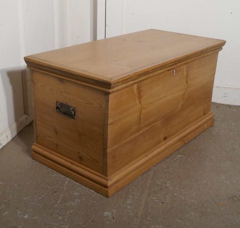 Victorian Pine Blanket Box, Coffee Table or Shoe Tidy at 1stDibs ...