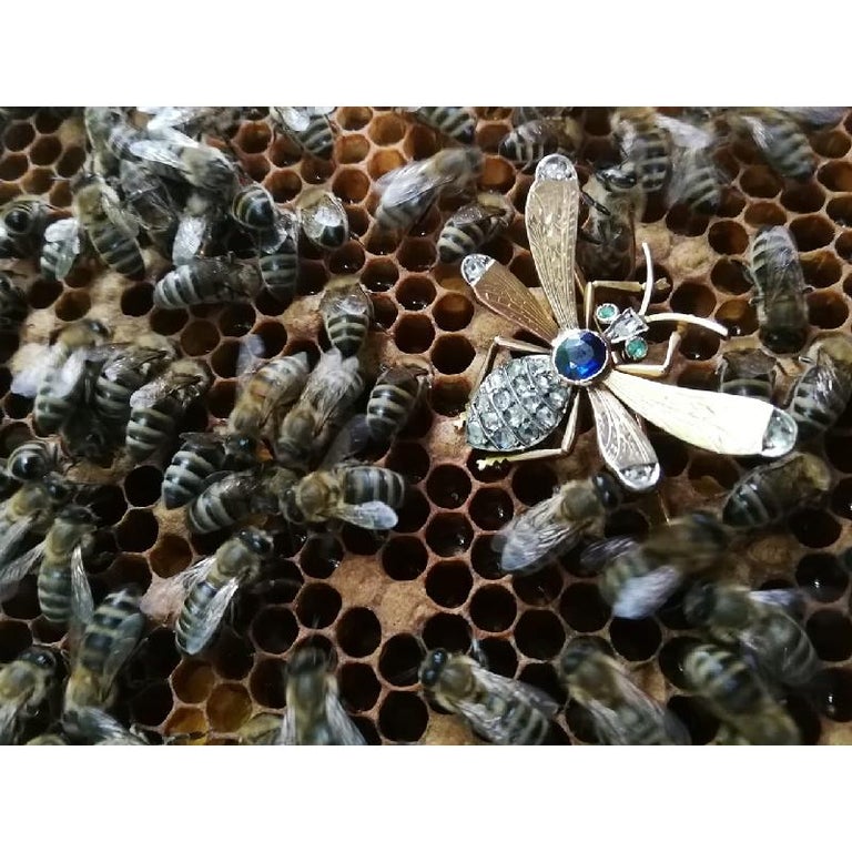 Victorian Queen Bee Brooch with Diamonds, Sapphire and Emeralds For ...
