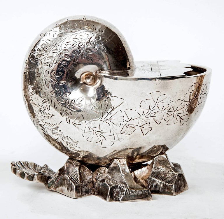 Victorian Silver Shell Spoon Warmers For Sale at 1stDibs