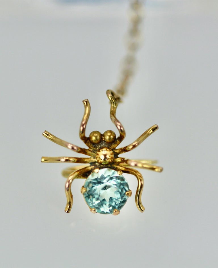 Victorian Spider and the Fly Brooch For Sale at 1stDibs