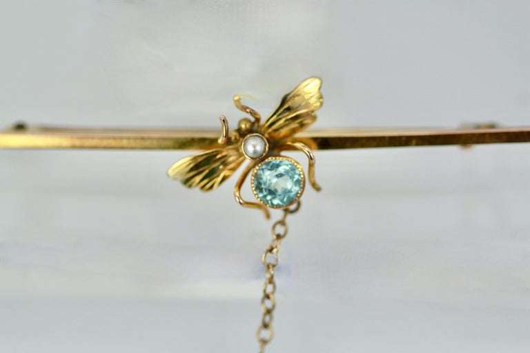 Victorian Spider and the Fly Brooch For Sale at 1stDibs