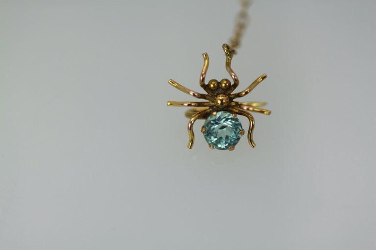 Victorian Spider and the Fly Brooch For Sale at 1stDibs